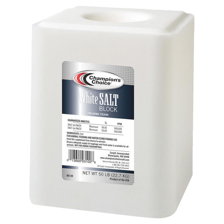 Champions Choice 100012578 Plain Salt Block, 50 lb Label, Solid, White